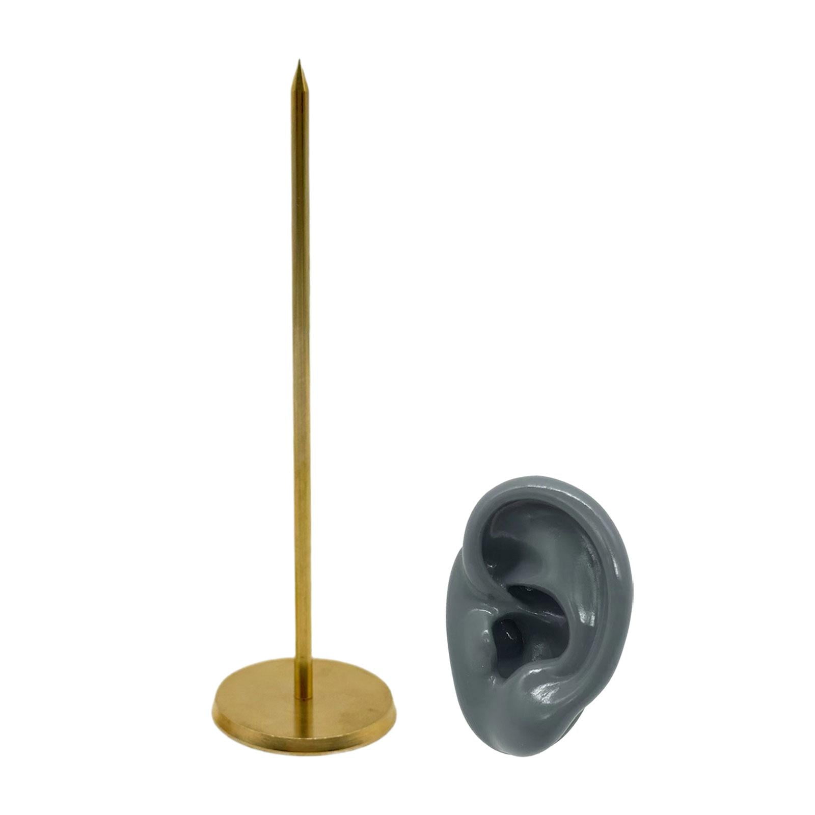 Earring Display Rack Human Ear Model Stud Holder Party Stable Tabletop ...