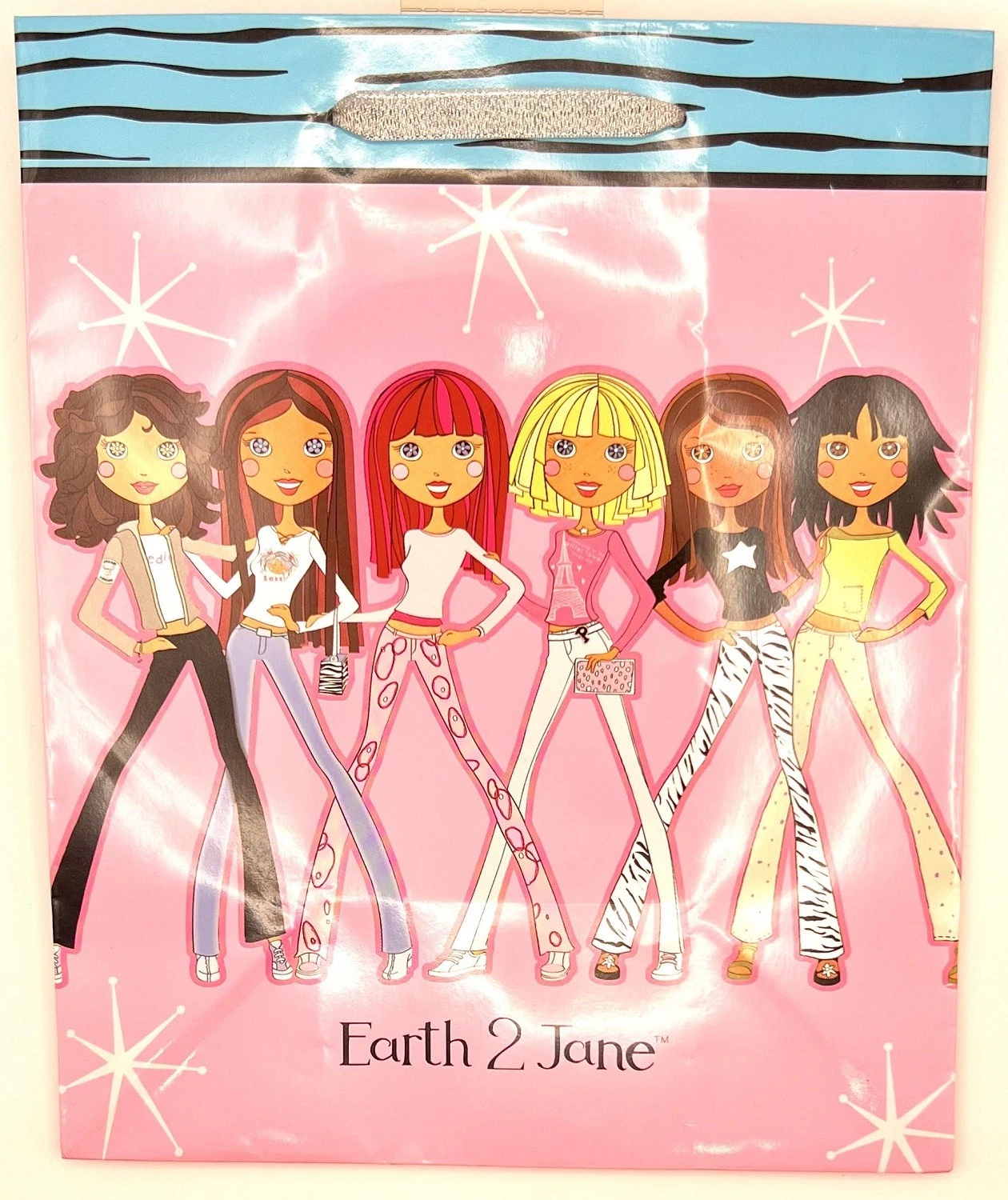 Earth 2 Jane Girls Club Pink Zebra Kids Birthday Party Cub Sack Medium ...