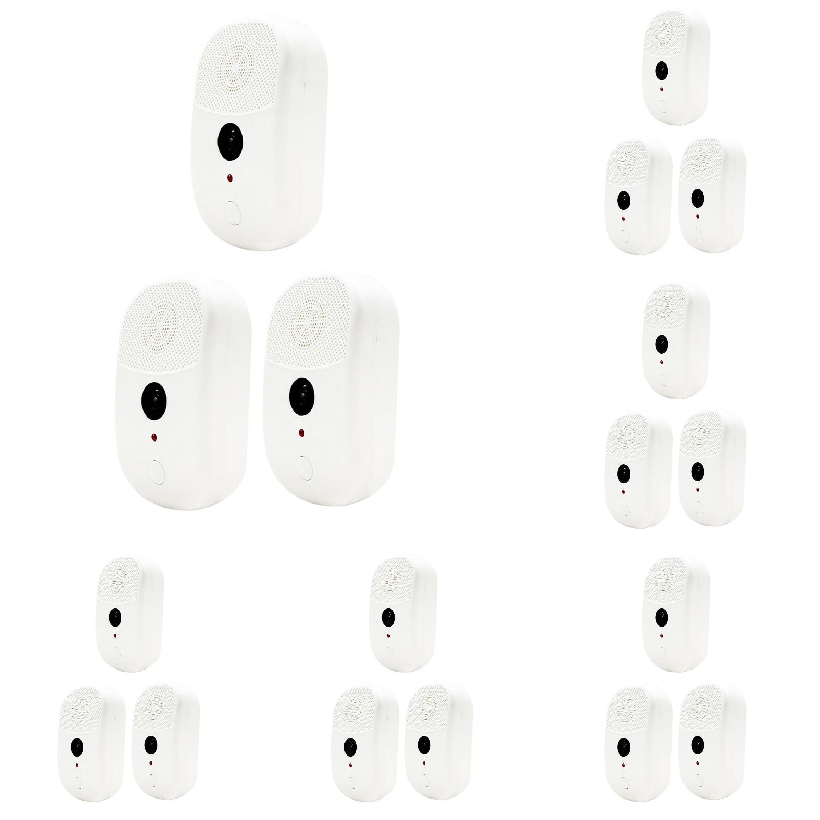 Earth Bed Flea and Crawling Gnat in Raid for Roaches Gnat Catchers for ...