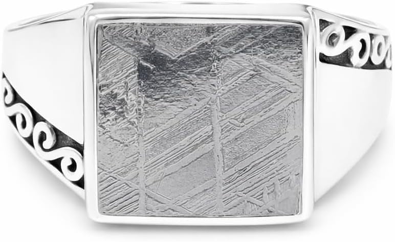 Earth Gems Jewelry Men’s Meteorite Ring in 925 Sterling Silver ...