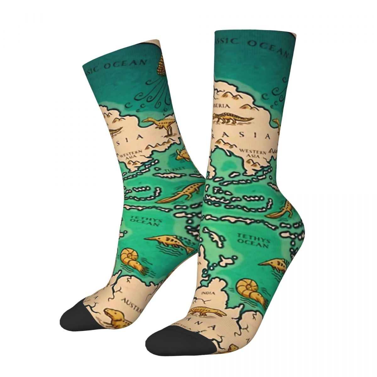 Earth Map Stockings Map of the World Custom Korean Socks Spring Anti ...