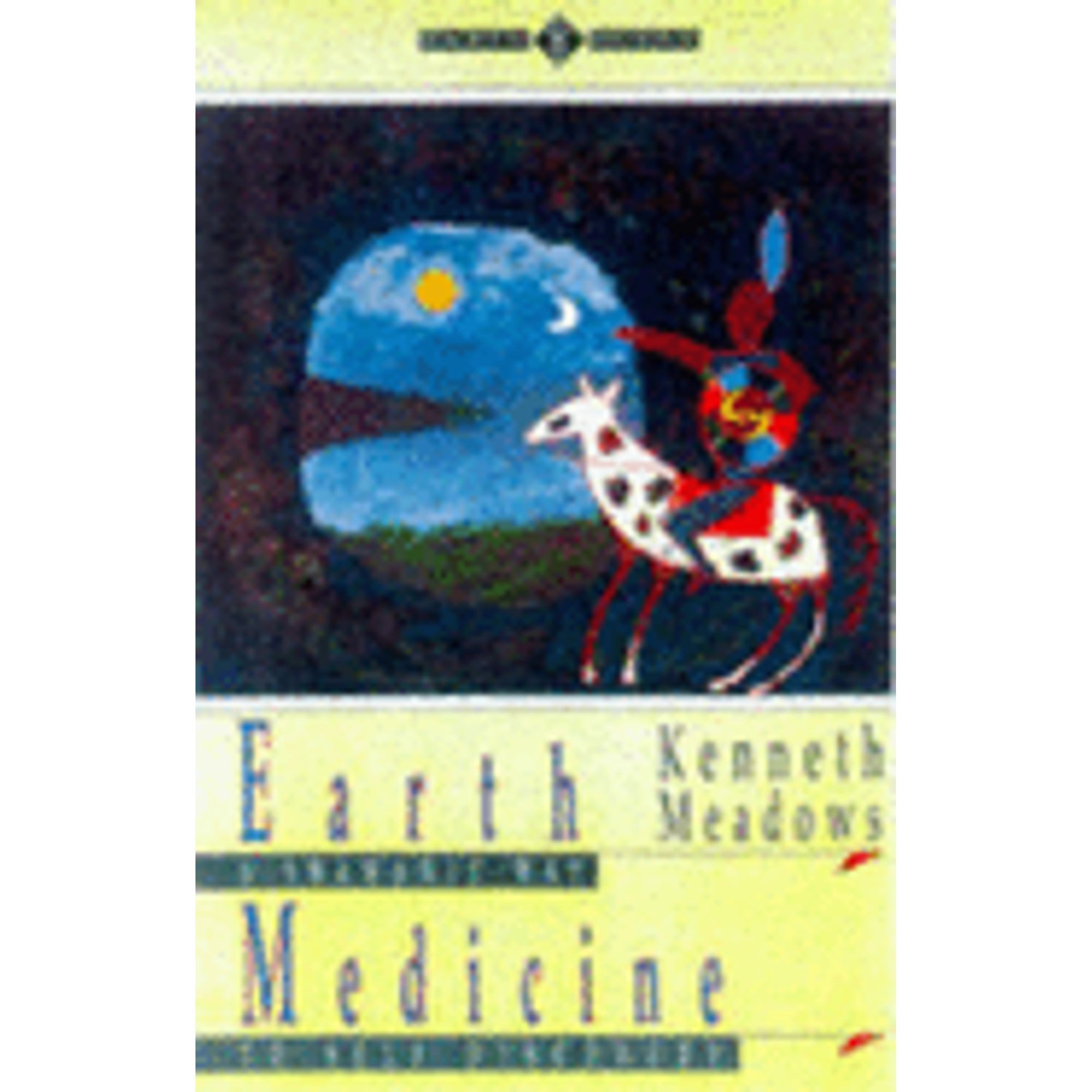 Earth Medicine (Paperback) by Kenneth Meadows - Walmart.com