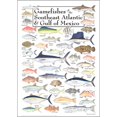 Earth Sky + Water - Gamefishes of Southeast Atlantic & Gulf of Mexico ...