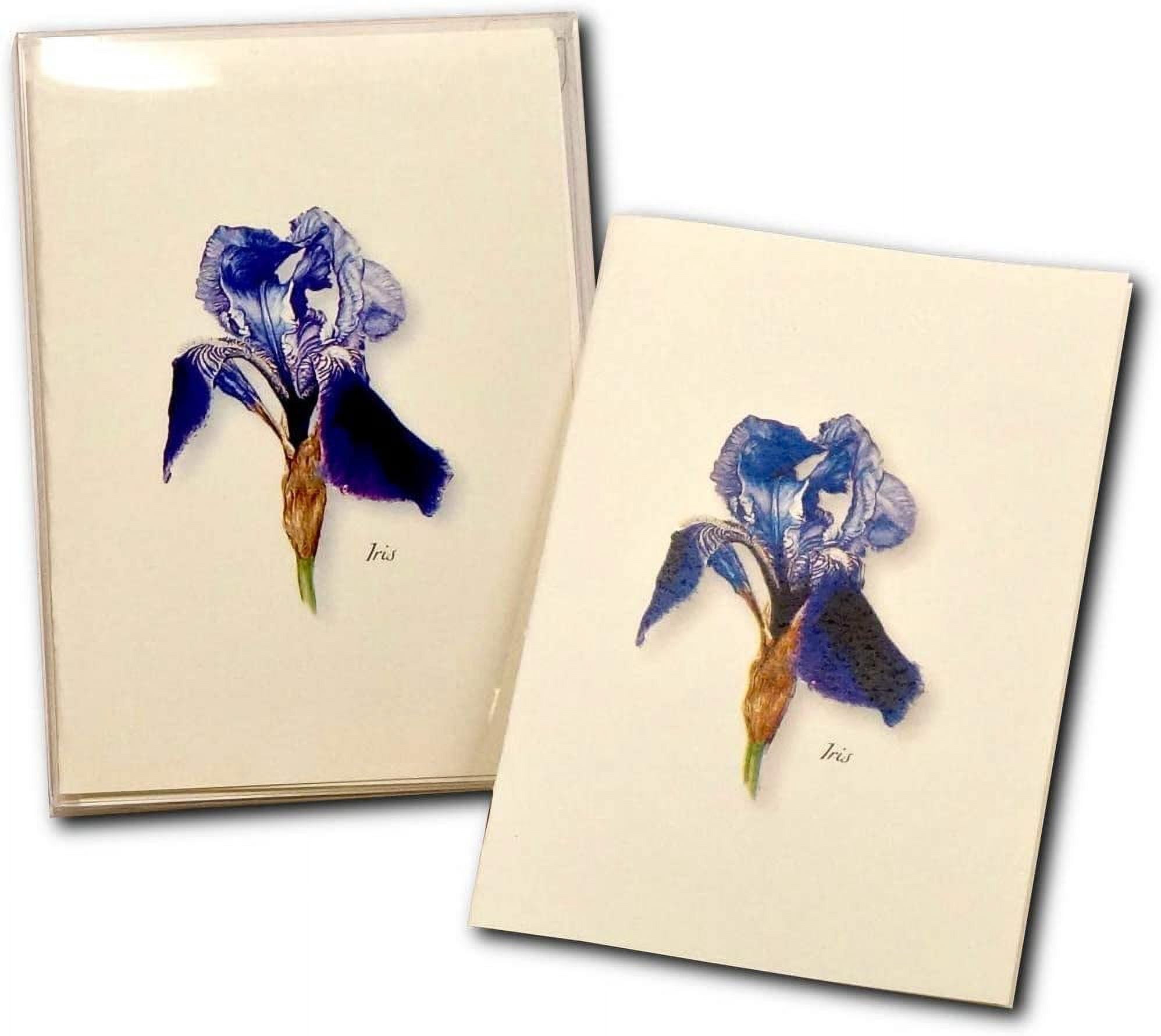 Earth Sky + Water - Iris Notecard Set - 8 Blank Cards with Envelopes ...