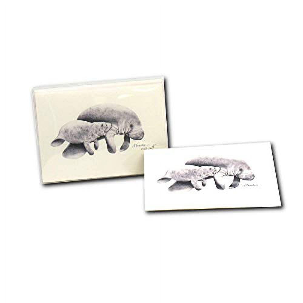 Earth Sky + Water - Manatee Notecard Set - 8 Blank Cards with Envelopes ...