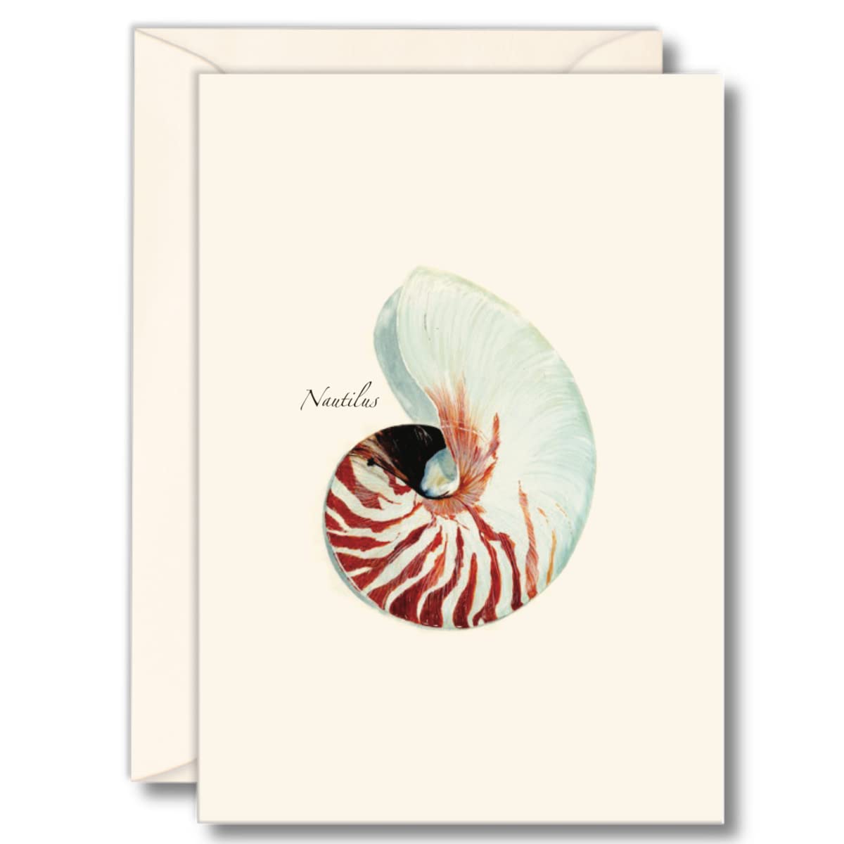 Earth Sky + Water - Nautilus Notecard Set - 8 Blank Cards with ...