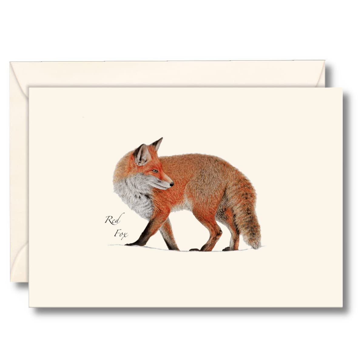 Earth Sky + Water - Red Fox Notecard Set - 8 Blank Cards with Envelopes ...
