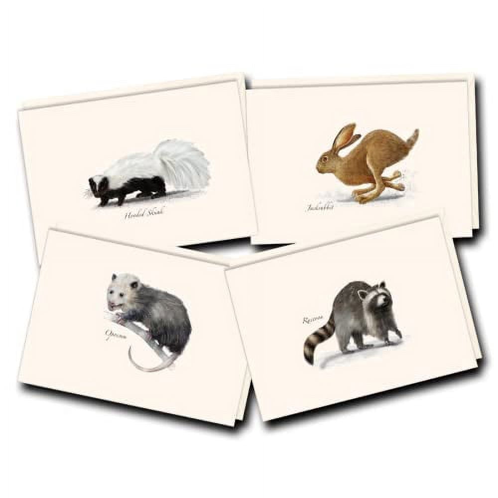 Earth Sky + Water - Small Mammal Assortment Notecard Set - 8 Blank ...