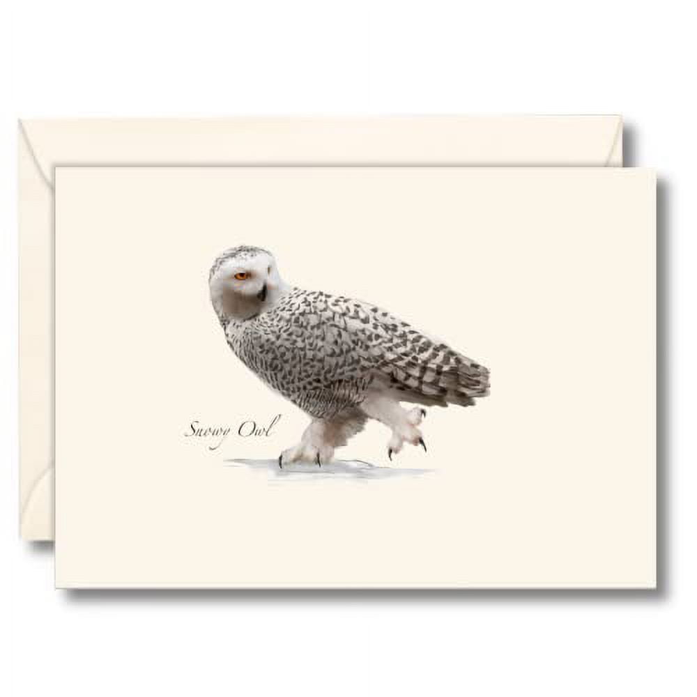 Earth Sky + Water - Snowy Owl Notecard Set - 8 Blank Cards with ...