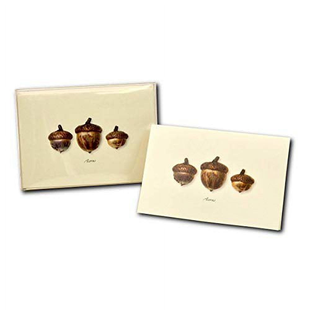Earth Sky + Water - Three Acorns Notecard Set - 8 Blank Cards with ...