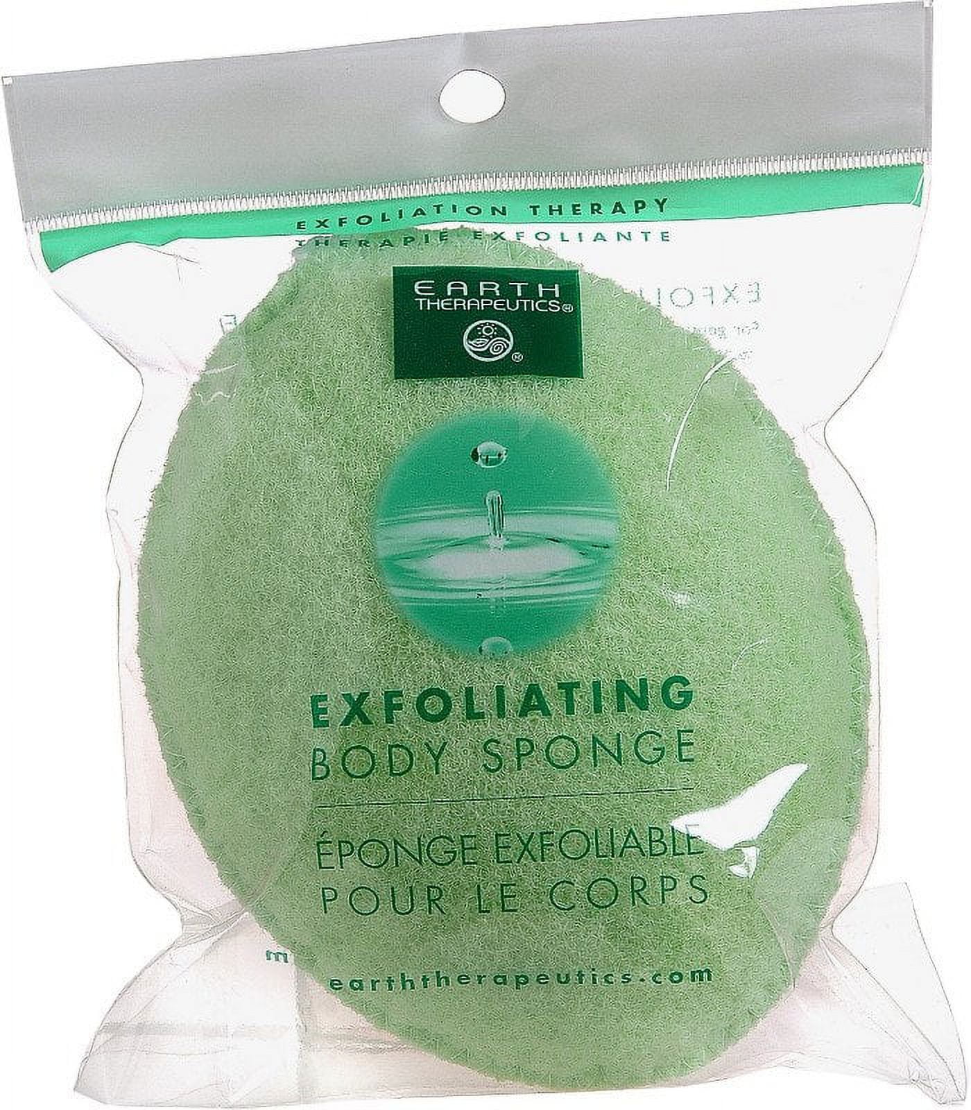 Earth Therapeutics Exfoliating Body Sponge 1 Sponge - Walmart.com