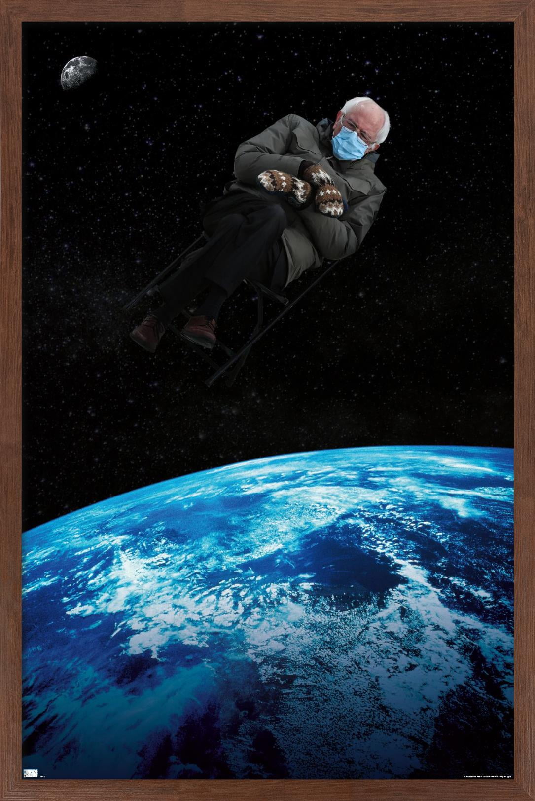Earth To Bernie Wall Poster, 22.375" x 34", Framed - Walmart.com