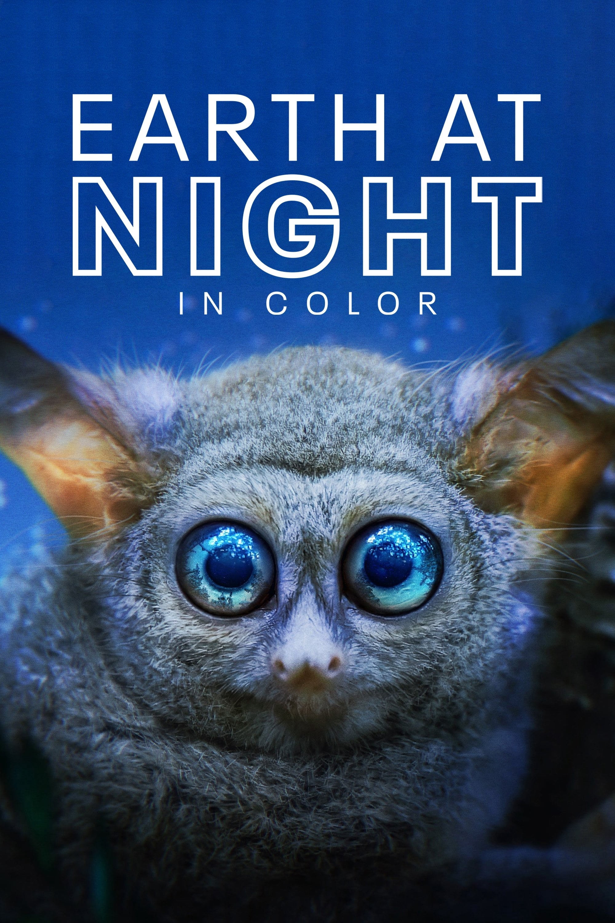 Earth at Night in Color Season 1 and 2 DVD - Walmart.com