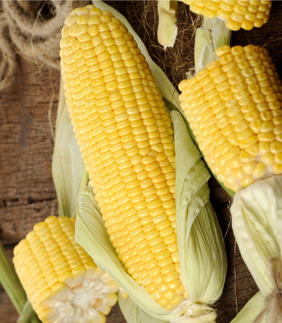 Earthcare Seeds - Sweet Corn Sugar Buns 100 Seeds (Zea Mays) Heirloom ...