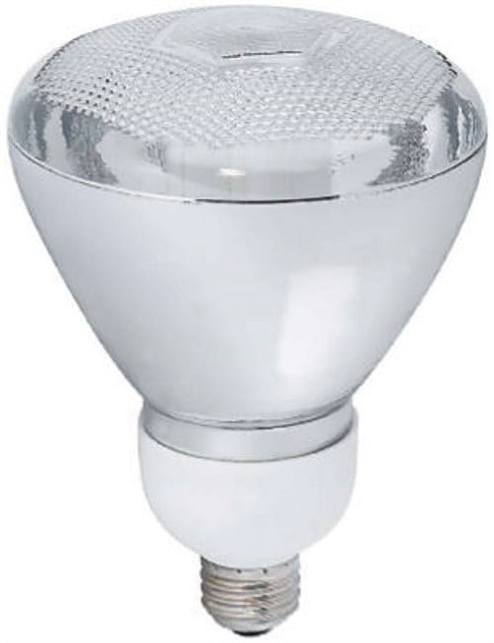 Earthtronics PA23SW1B 23-Watt Outdoor CFL Flood Light Bulb - Walmart.com