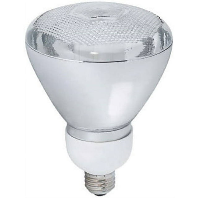Earthtronics PA23SW1B 23-Watt Outdoor CFL Flood Light Bulb - Walmart.com