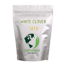 Micro Clover Seeds for Lawn - Microclover Seed for Planting - 1 oz ...