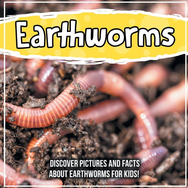 Earthworms : Discover Pictures and Facts About Earthworms For Kids ...