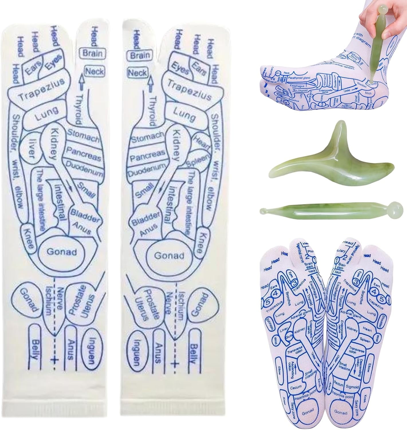 Easerelief Socks, Ease Relief Socks Women, Reflexology Socks with Tools ...