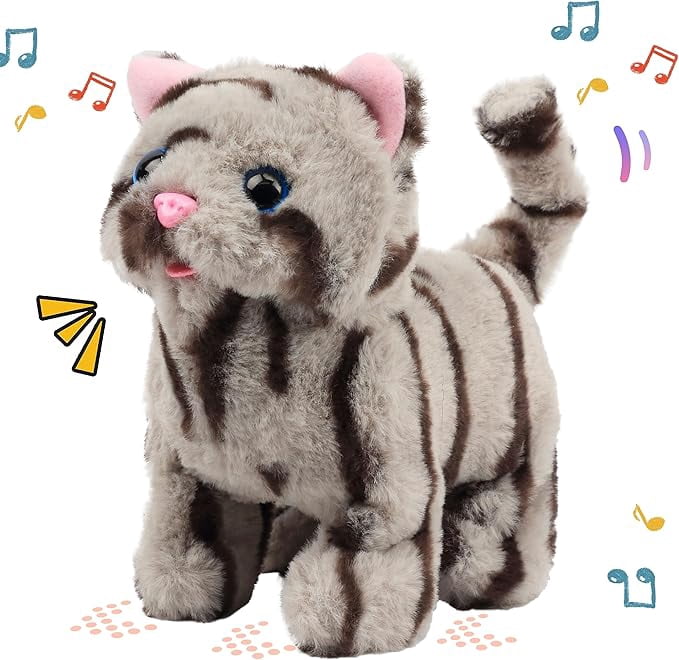 Boomer Cat