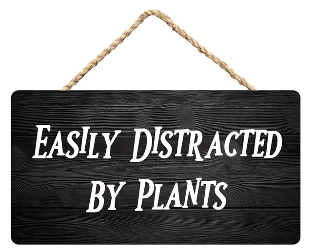 Easily Distracted By Plants Wood Hanging 12x6 Inch Wall Pediments ...