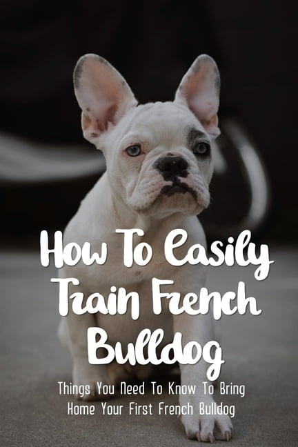 How To Easily Train French Bulldog: Things You Need To Know To Bring ...