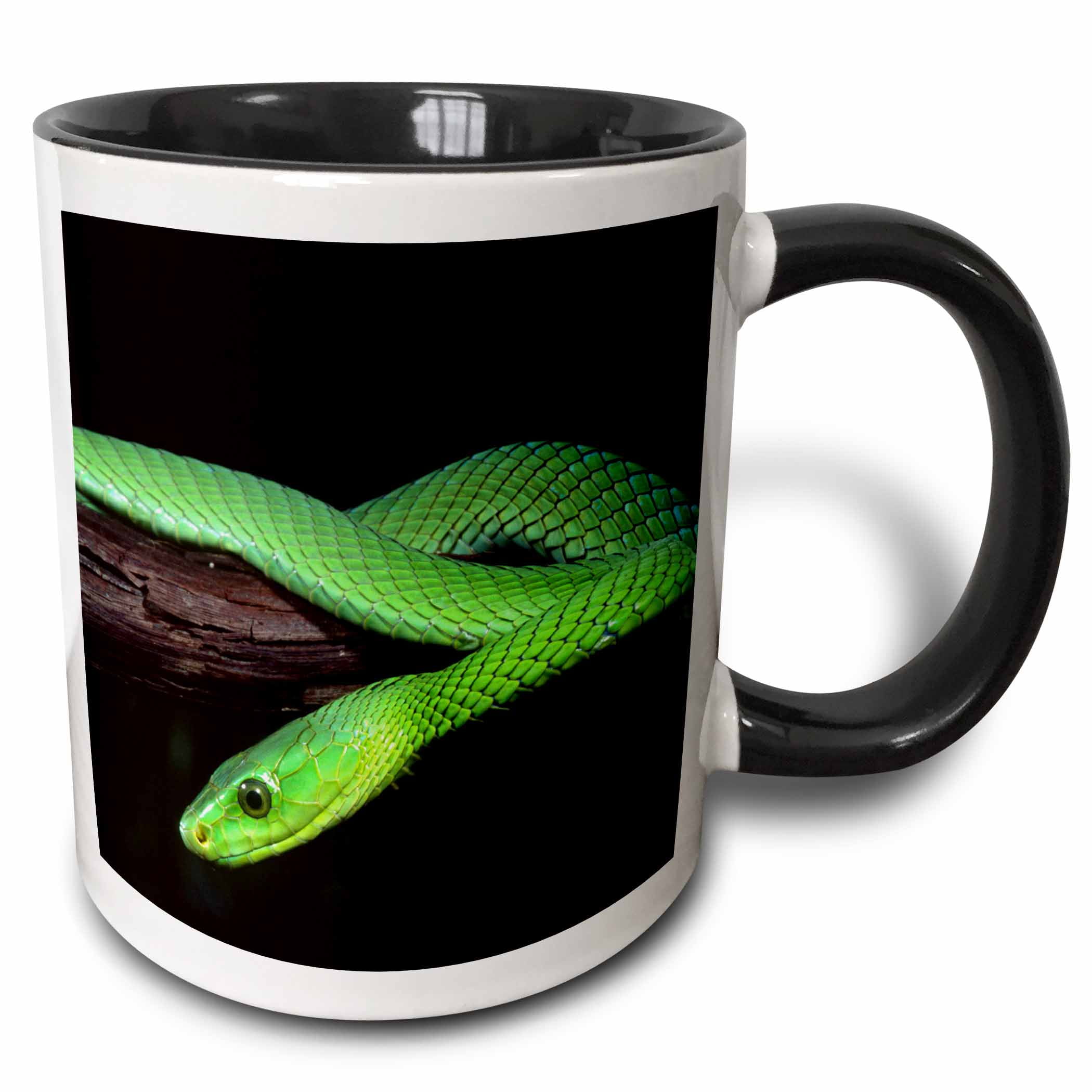3drose, East African Green Mamba Snake - Na02 Dno0465 - David Northcott ...
