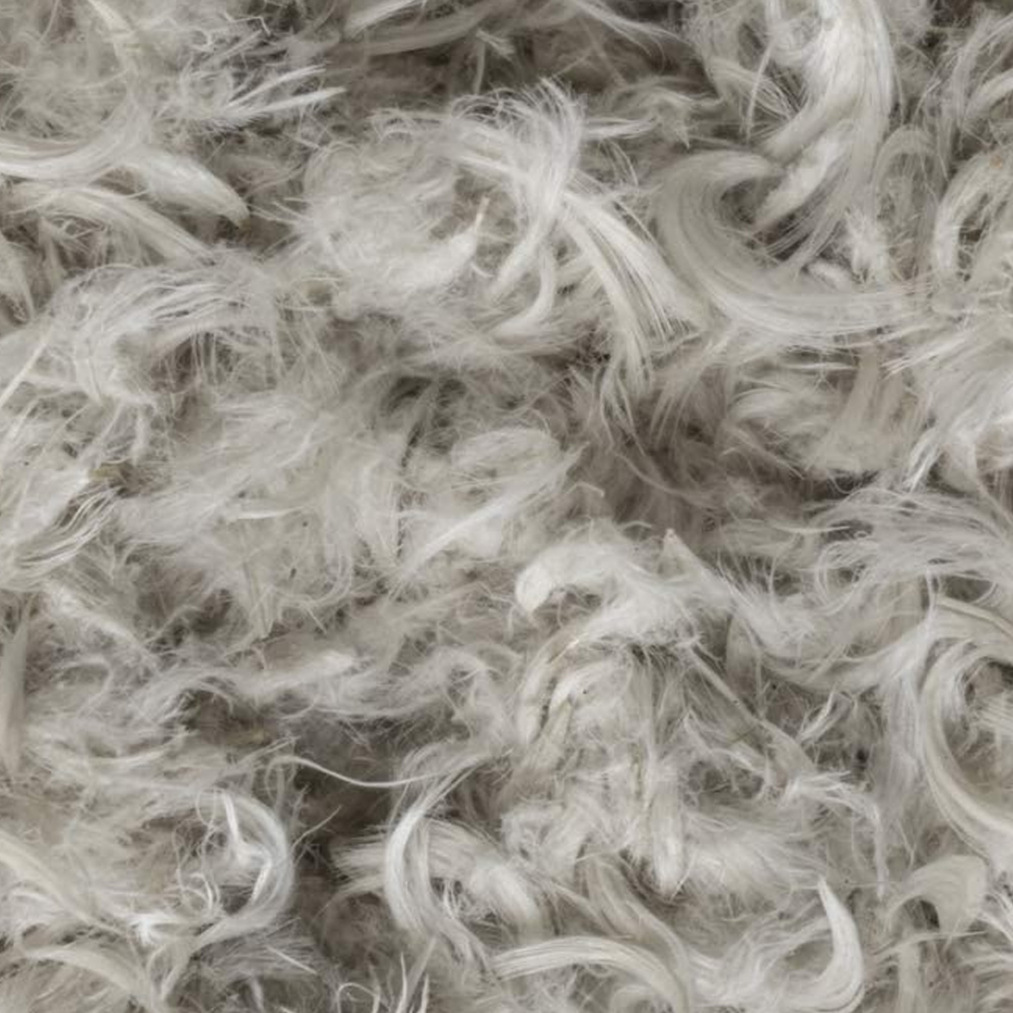 East Coast Bedding 25/75 Gray Duck Down Feather Pillow Filling Stuffing ...