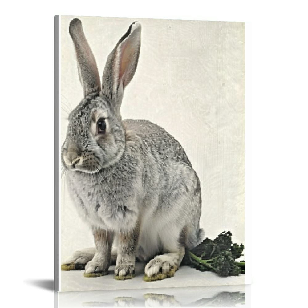 EastSmooth Canvas Wall Art Painting Gray Animal Grey Rabbit on Easter ...