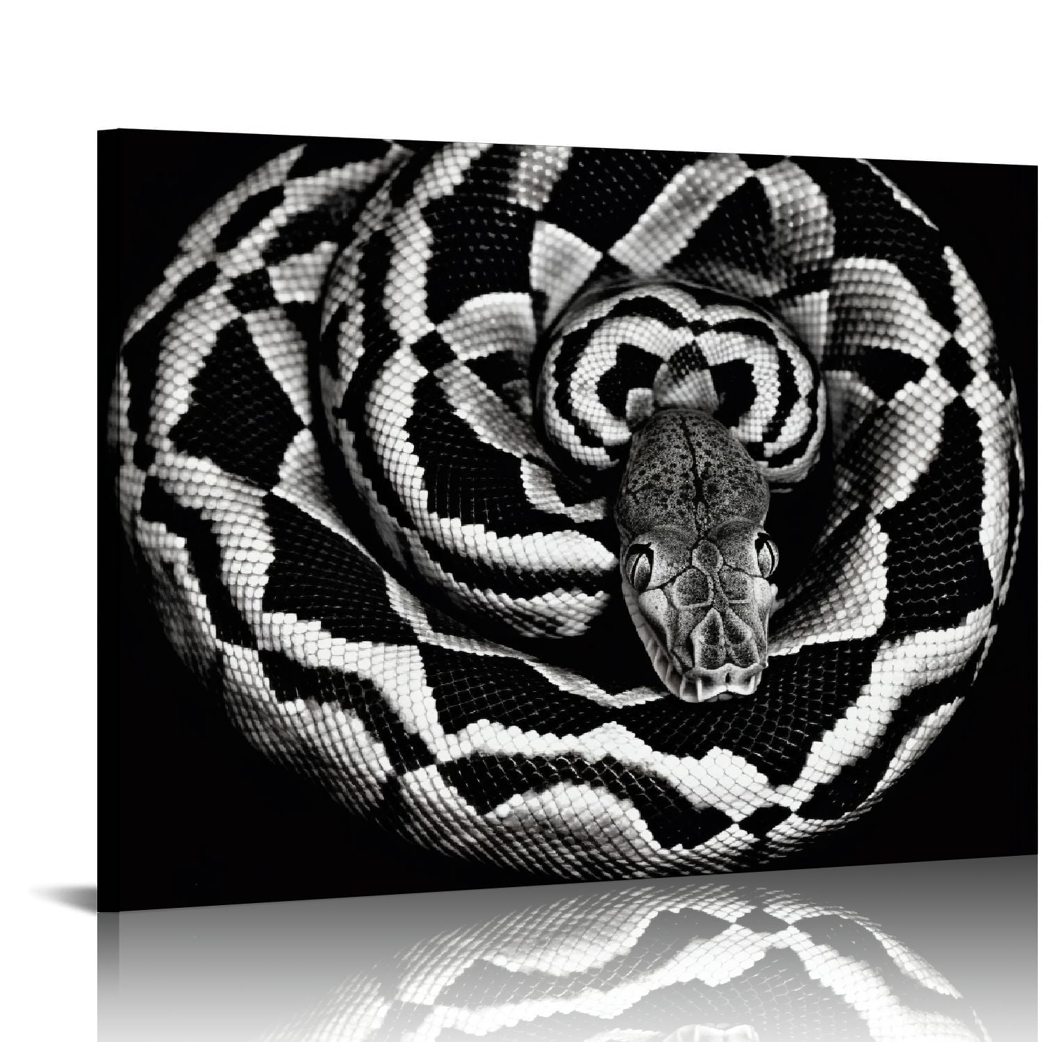 EastSmooth Canvas Wall Art Snake Black And White Posters Pictures Wall ...