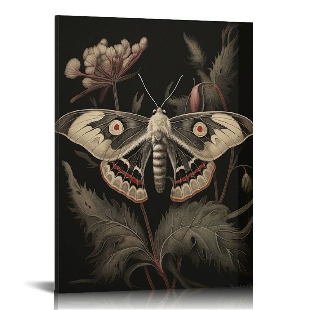 Lingy Dark Academia Insect Moth Poster for Room Goblincore Vintage ...