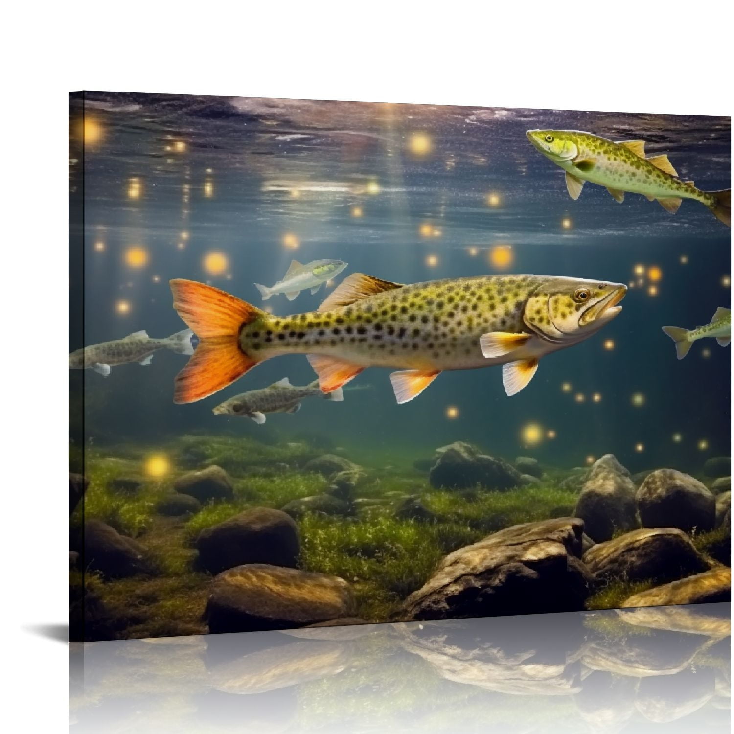 EastSmooth Freswater Fish Collection Canvas Wall Art Print With Timer ...