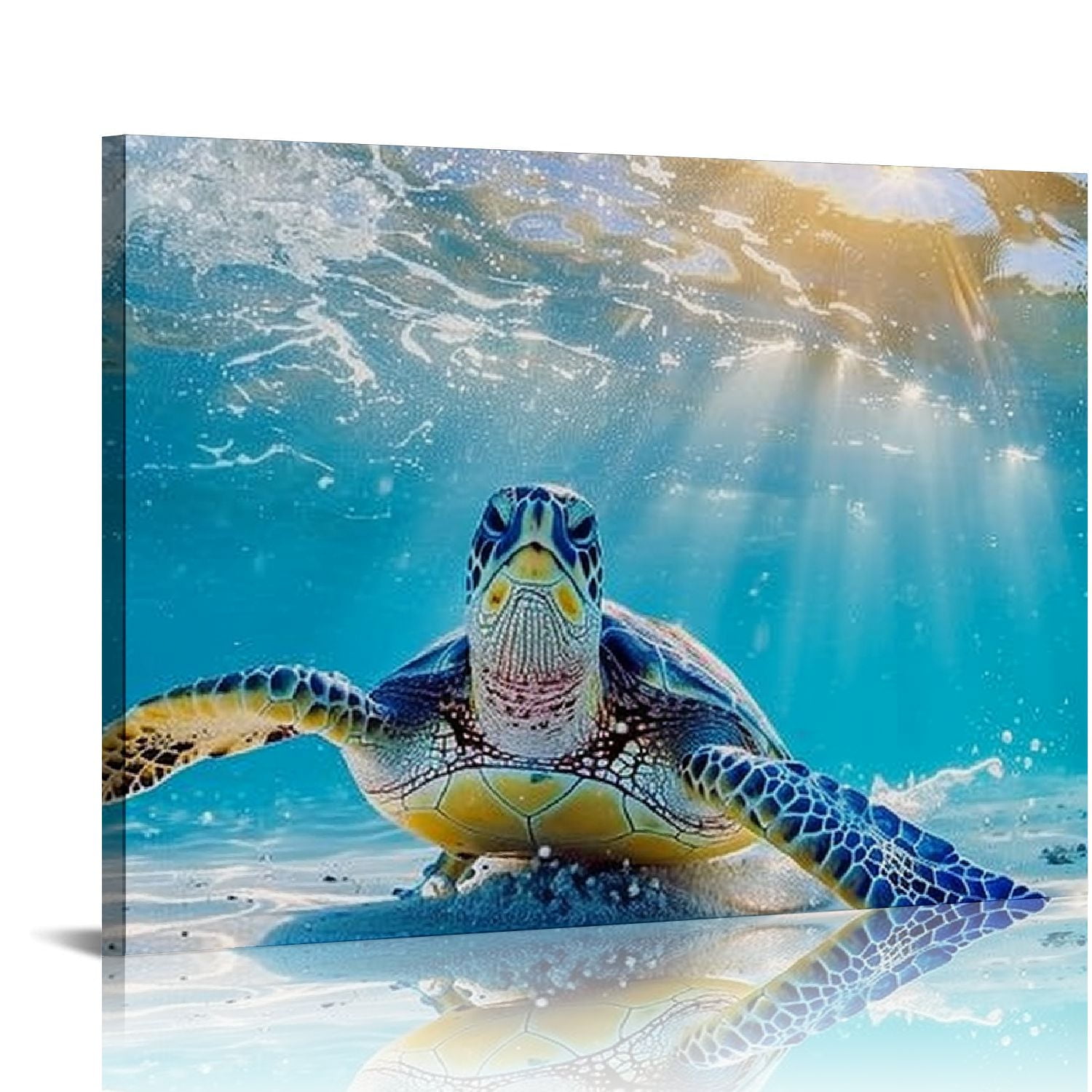 EastSmooth Green Sea Turtle Wall Hawaiian Sea Turtle Florida Sea Life ...