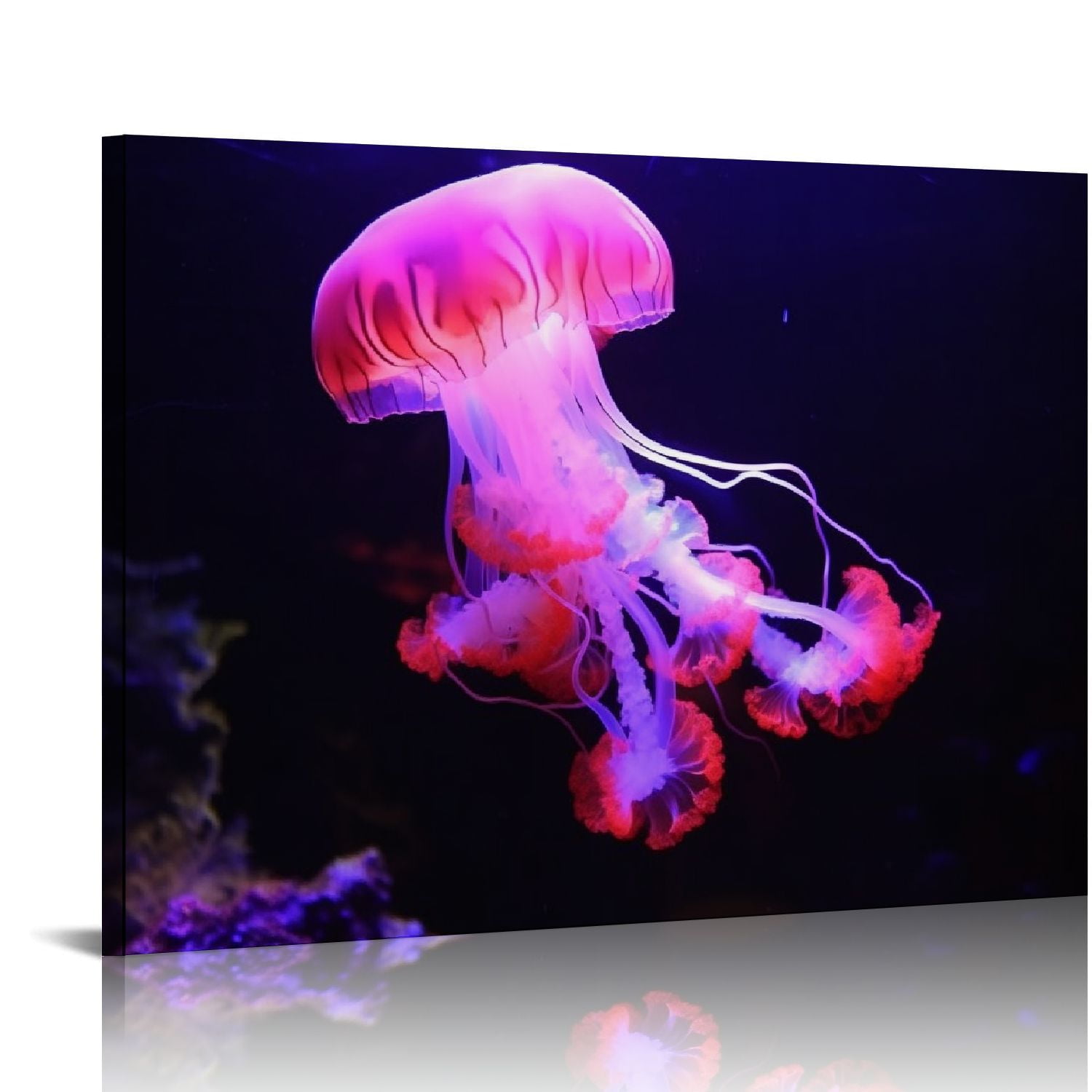 EastSmooth Jellyfish Animal Wall Art Canvas Living Room Poster Pictures ...