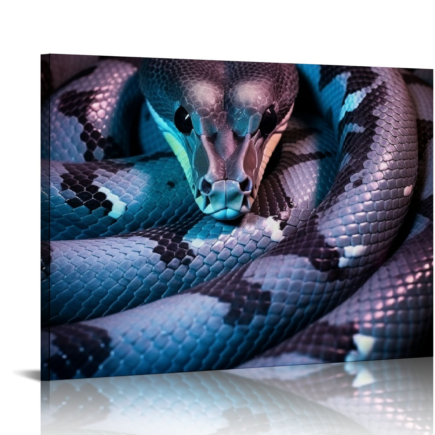 EastSmooth Snake V Contemporary Dramatic Hallway Multicolor Photography ...