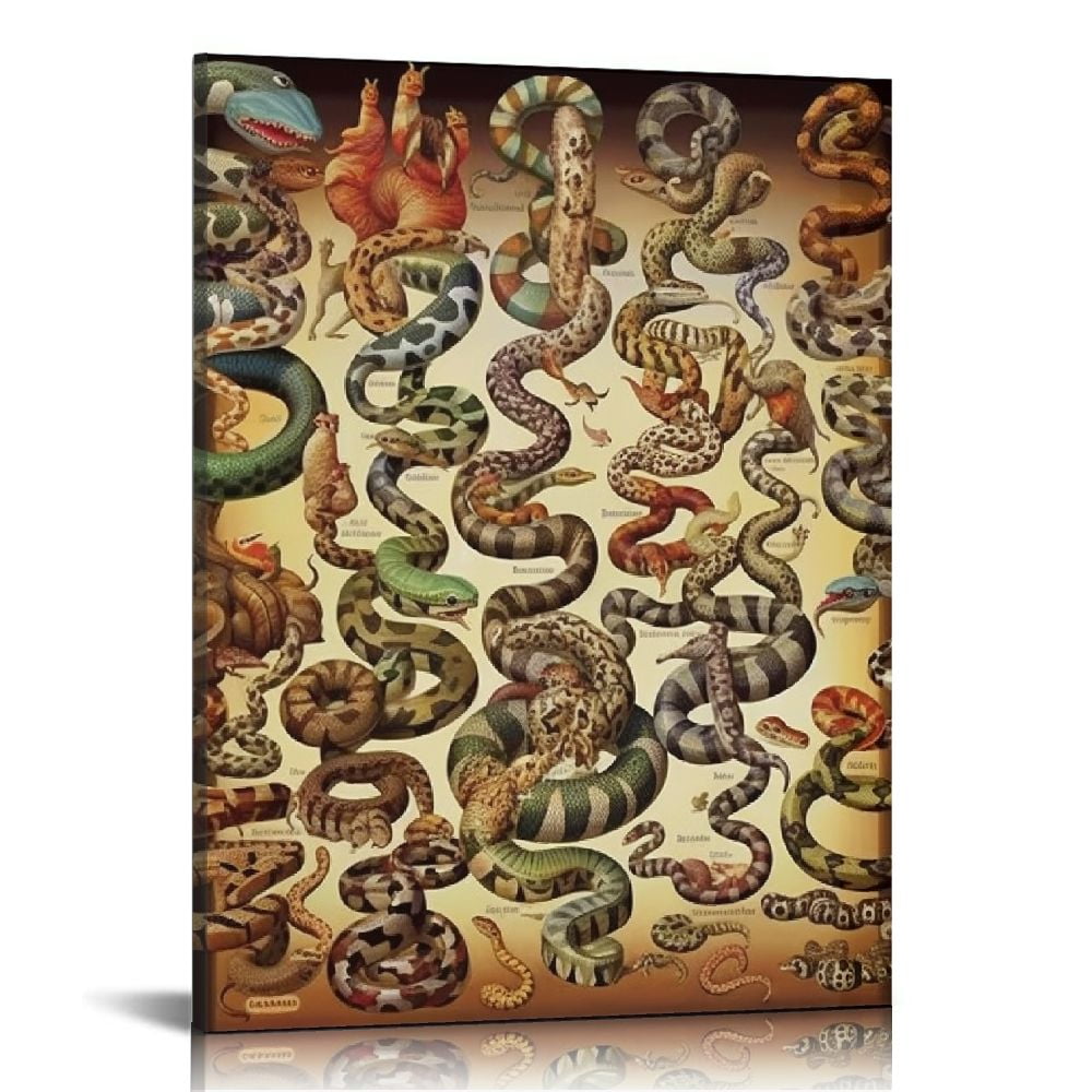 EastSmooth Snakes Identification Education Poster Knowledge Modern ...