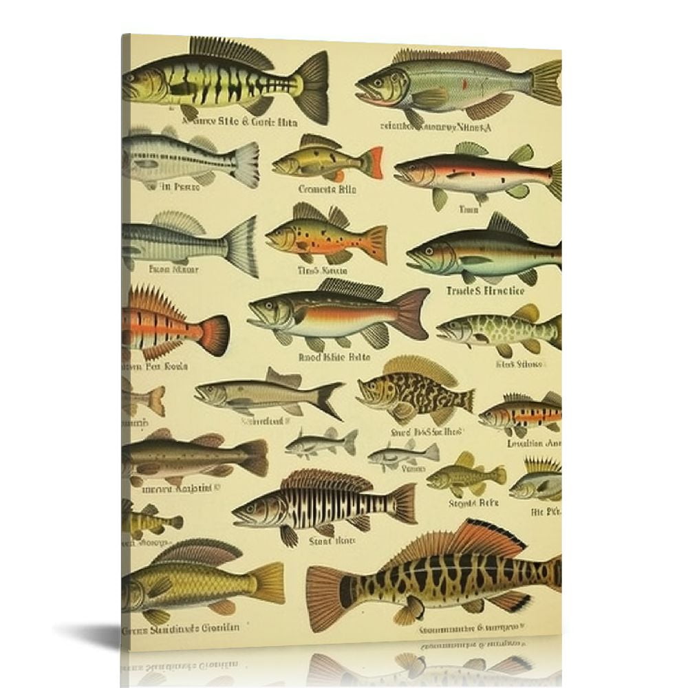 EastSmooth Sports Fish of North America Knowledge Wall Decor Vintage ...