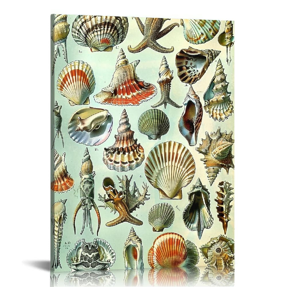 EastSmooth Vintage Wall Art - Sea Shell Ocean Fish Poster - Ocean Life ...