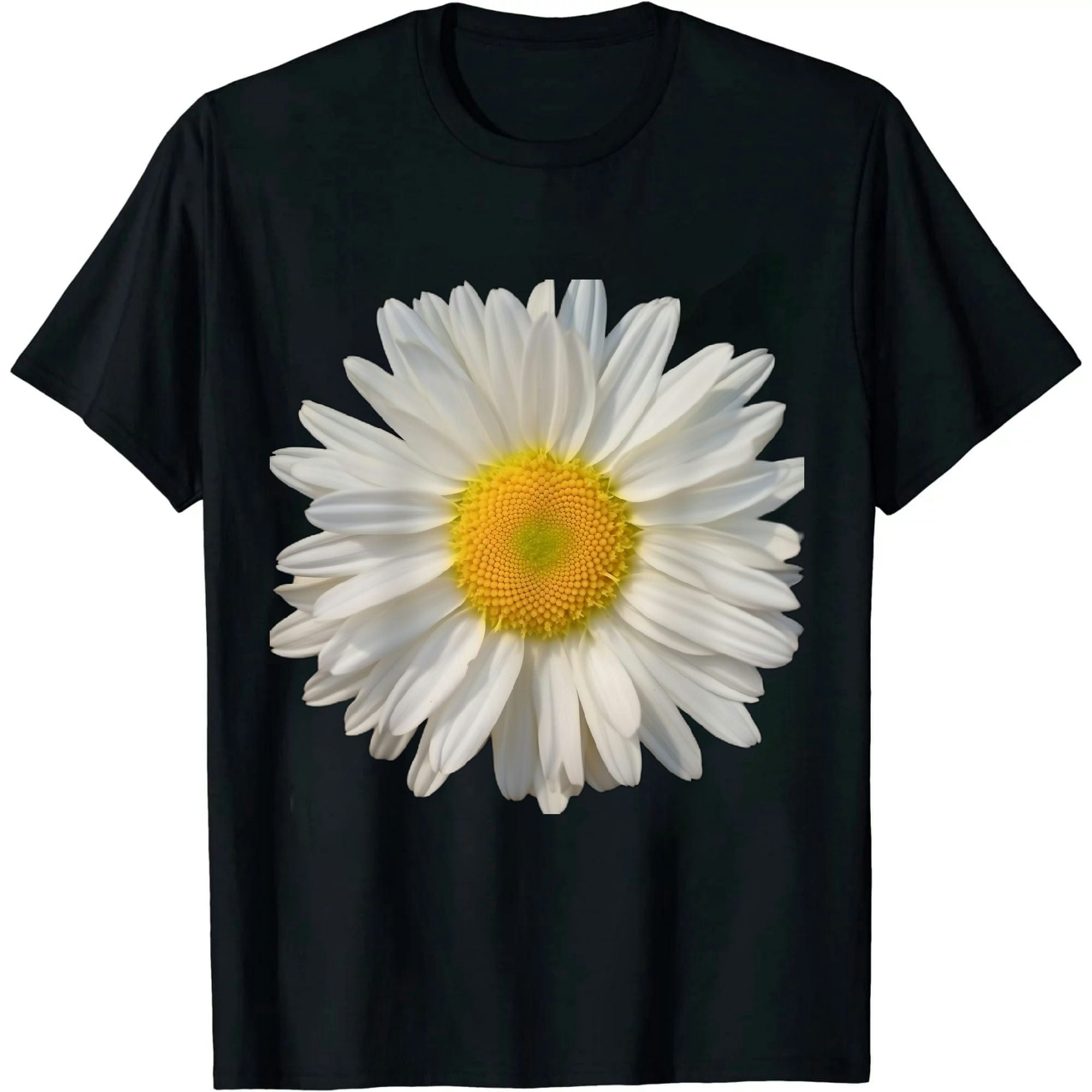 EastSmooth white daisy flower, blooming daisy, blooms, flowery, daisies ...
