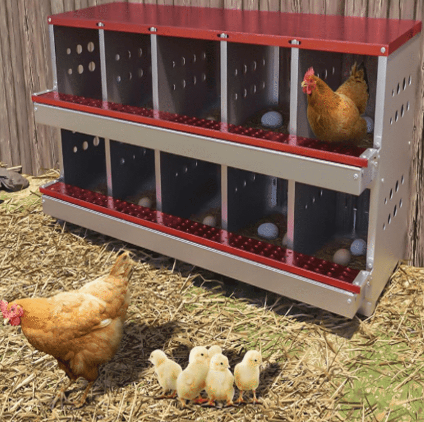 EastVita 10 Compartment Metal Chicken Nesting Box for Laying Eggs ...