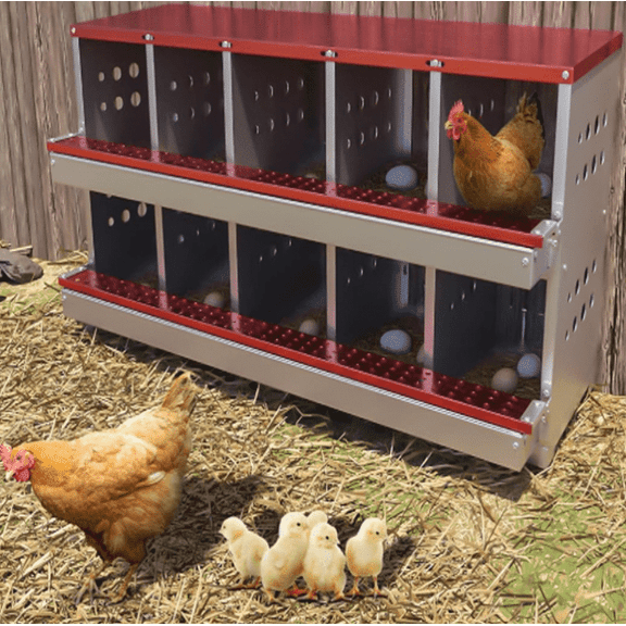 Chicken Nesting Boxes, 10-Compartment Roll Away Nest Box, Wall Mount ...