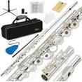 Eastar 16 Keys C Flute Musical Instrument for Beginner/Student, Best ...