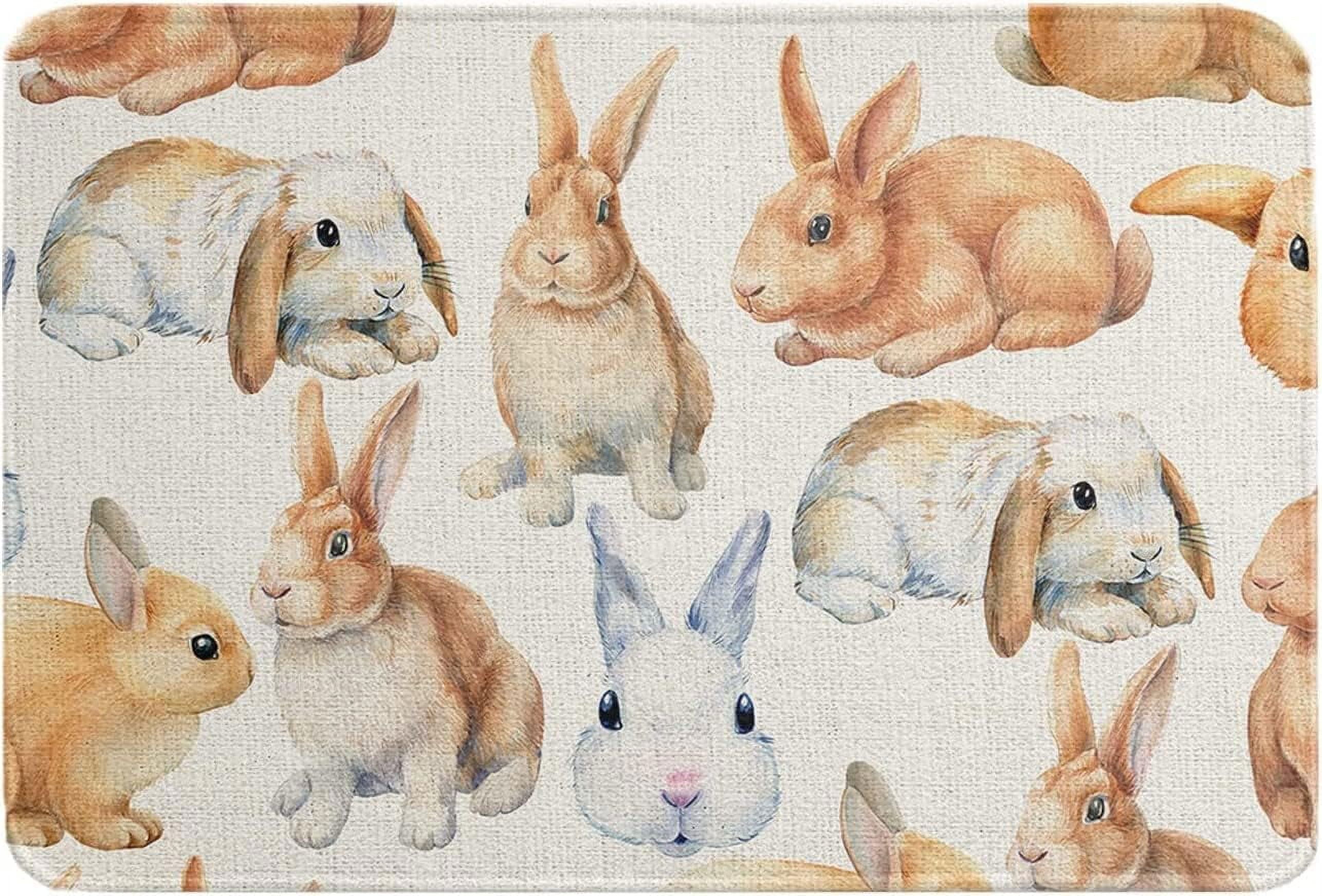 Easter Bunny Doormat Absorbent Floor Mats, Rustic Burlap Cute Rabbit ...