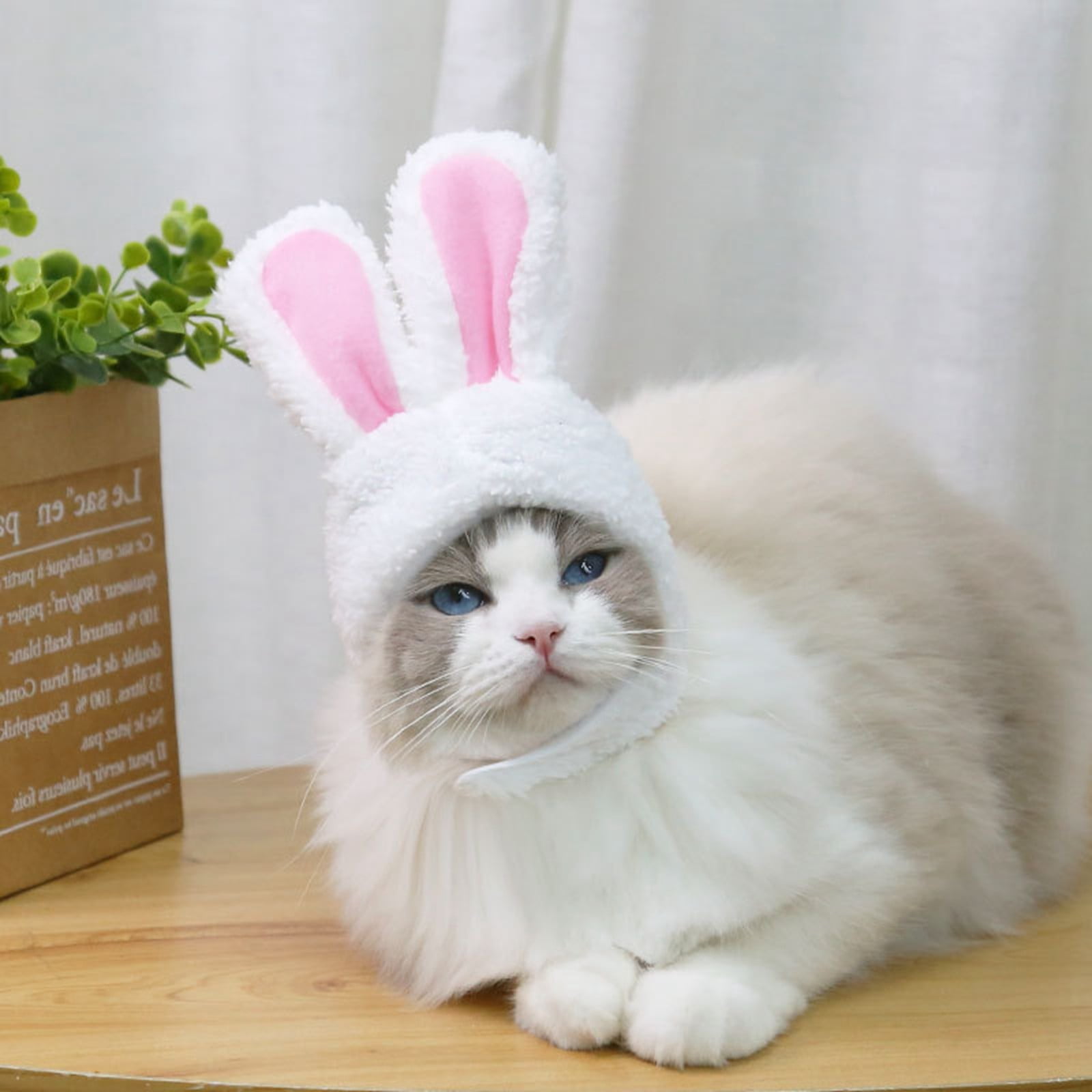Easter Bunny Headband for Cats & Small Dogs – Plush Bunny Ears Hat with ...
