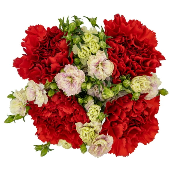 Easter Flowers & Plants