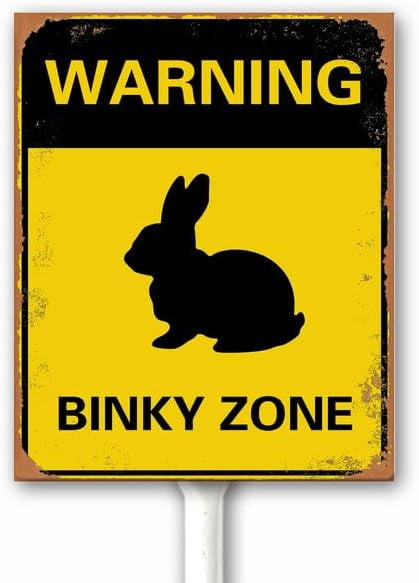 Easter Decorations Outdoor Easter Garden Sign Vintage, Binky Zone, 8" x ...