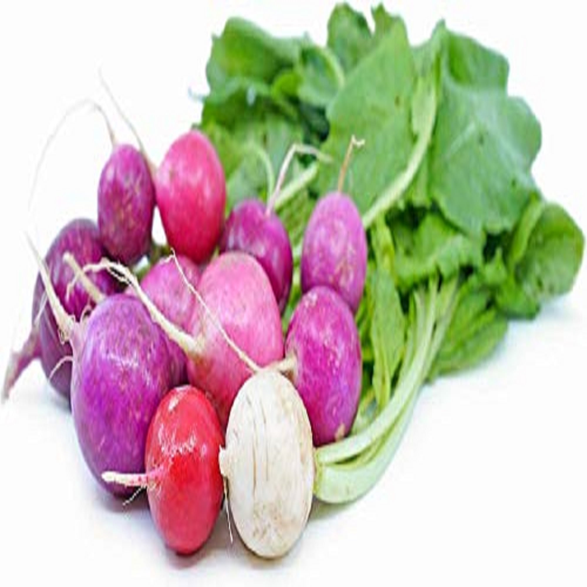Easter Egg Radish Seeds - 100 Count Seed Pack - Non-GMO - Petite ...