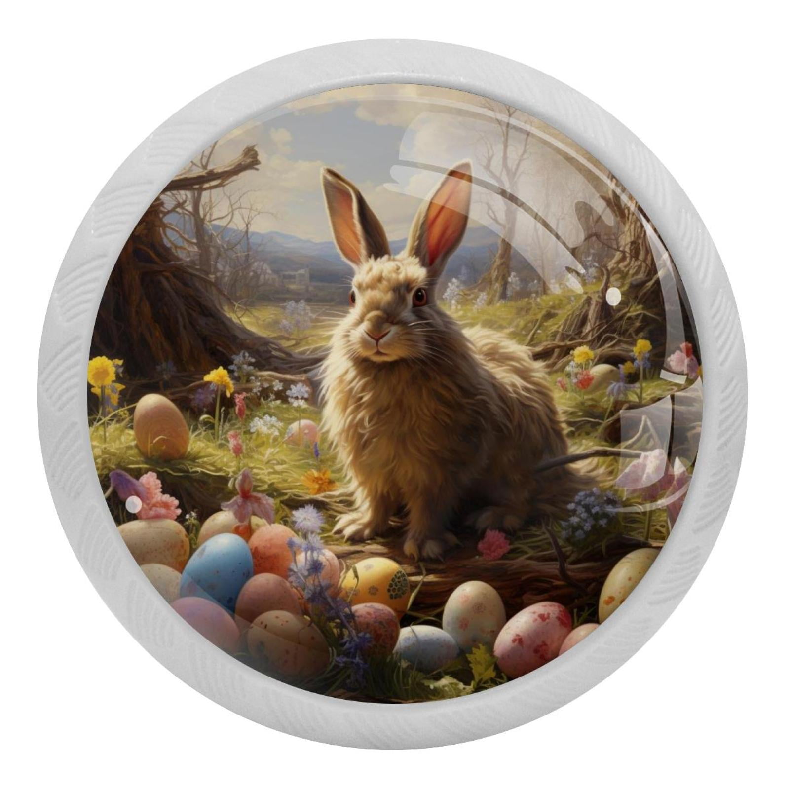 Easter Fluorescent Drawer Pulls with Screws - Round 4-Pack, Glow-in-the ...