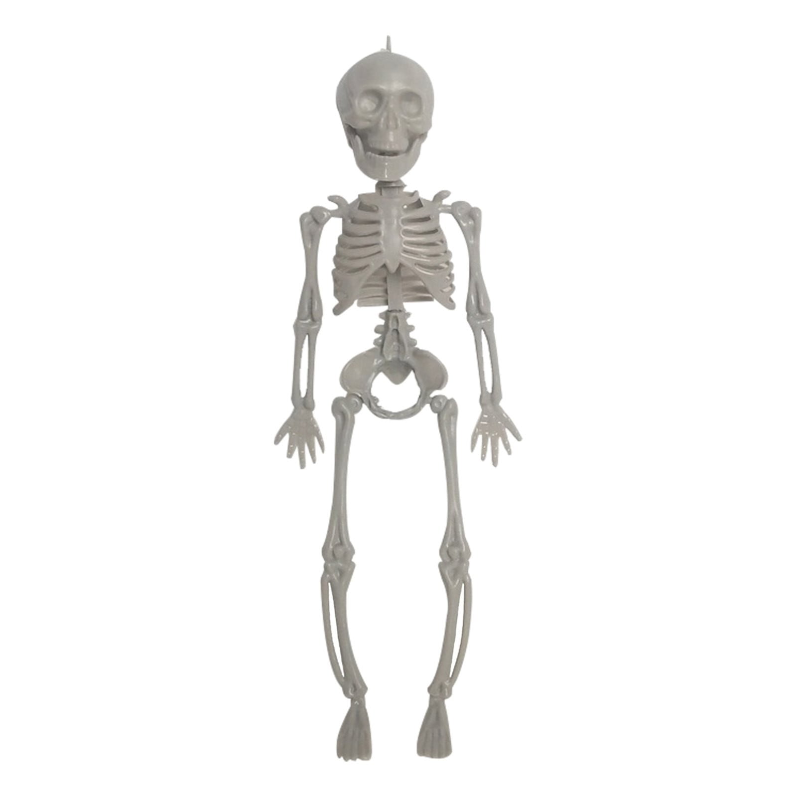 Easter Hangs Decorations Halloween Skeleton Decorations 11Inch Full ...