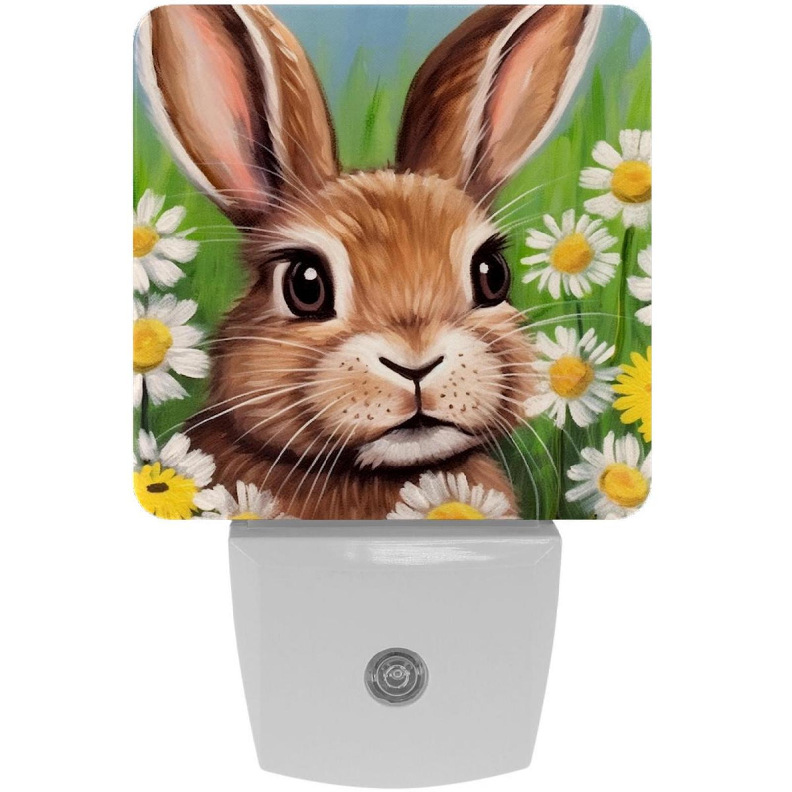 Easter LED Square Night Lights - Compact and Multifunctional ...